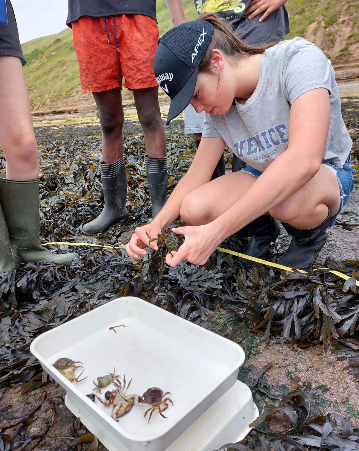 Ron Dearing student biologists soak up science on field trip – Ron ...